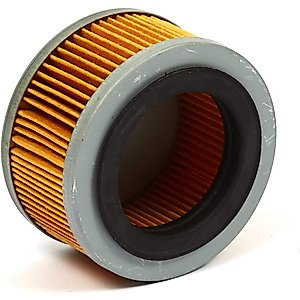 MaxLLTo Replacement 4203 141 0300 Air Filter for Oregon 30-416 for Stens 100-945 for Stihl Riding Lawn Mower BR320 & BR400 Back Pack Blower Pack of 1
