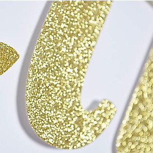 Sprinkled with Love Glitter Gold Banner , Baby Sprinkle Banner ,Baby Shower, Gender Reveal Party , Glitter Party Decor (Gold)