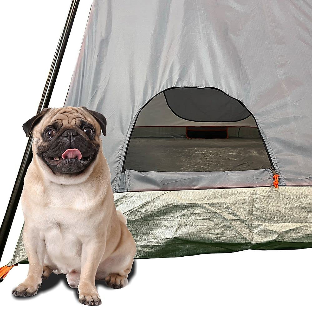 NTK Flash 8 Sleeps up to 8 Person 13.1 by 8.9 FT Outdoor Instant Cabin Family Camping Tent 100% Waterproof 2500mm