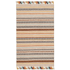 SAFAVIEH Montauk Collection Accent Rug - 3' x 5', Beige & Multi, Handmade Boho Stripe Fringe Cotton, Ideal for High Traffic Areas in Entryway, Living Room, Bedroom (MTK901A)