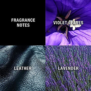 Men's Cologne Fragrance Spray by Curve, Casual Cool Day or Night Scent, Curve Black, 4.2 Fl Oz