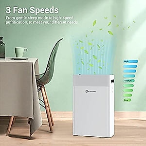 Air Purifier for Home, Elechomes True HEPA Air Purifiers for Large Room with Washable Filter, Timer, Ultra-Quiet Sleep Mode, KJ203F-142