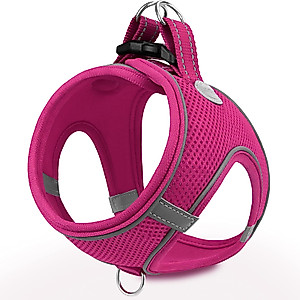 Joytale Small Dog Harness, Breathable Mesh Step-in Vest Harness, Reflective Soft Padded Harnesses for Small and Medium Dogs, Hot Pink, M
