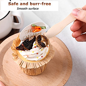 HANSGO 100PCS Wooden Ice Cream Spoons, Mini Tasting Spoons Wooden Small Dessert Spoons Sample Spoons for Crafts Tasting Sampling