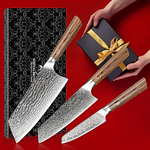 Damascus Kitchen Knife Set, 3 Pieces Japanese Style Kitchen Knives 67 Layer Forged Damascus VG10 Steel, lightweight Wood Ergonomic Handle for Cooking Knives Set