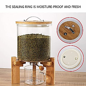 WDZCZDoo Flour and Cereal Container, Rice Dispenser 7.5L, Creative Glass Food Storge Container for Kitchen Organization and Pantry Store, Airtight Lid and Wooden Stand