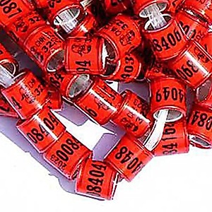 Fenteer 50x 2023 Pigeon Leg Rings Bird Foot Bands for Bantam Finch Canary, Red