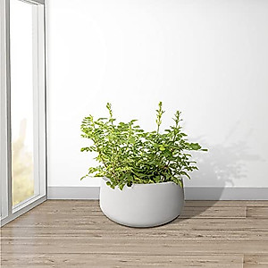 Kante 16" Dia. Round Pure White Finish Concrete Bowl Planter, Outdoor Indoor Large Planter Pot with Drainage Hole for Garden, Patio, Balcony, Deck, Living Room (RC0051B-C80011)