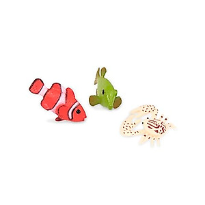 Terra by Battat – Toy Tropical Fish & Crabs – 60 Mini Figures in 12 Realistic Designs – Tropical Sea Animals in Storage Tube – Realistic Figurines for Sensory Bin – Tropical Fish World – 3 Years +