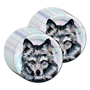 Wolf Birthday Party Supplies Set Plates Napkins Cups Tableware Kit for 16