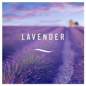 Febreze 300 ml Lavender Air Freshener Spray - Pack of 6