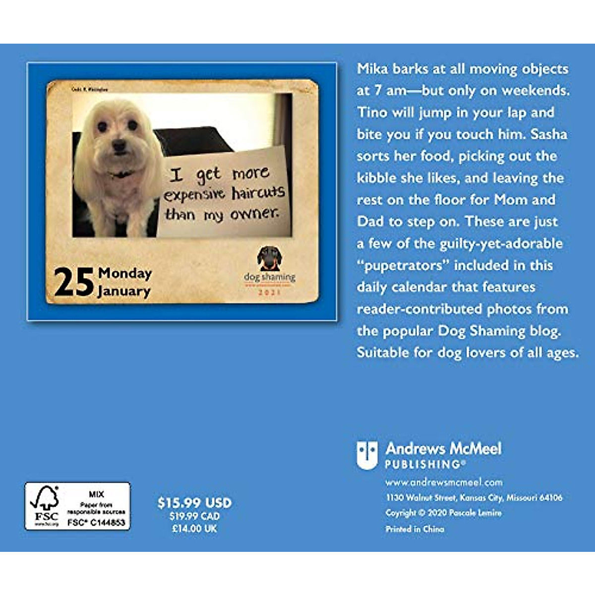 Dog Shaming 2021 Day-to-Day Calendar