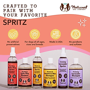 Natural Dog Company Itchy Dog Shampoo (12 oz) Bundle with Wild Alaskan Salmon Oil (16 oz) | Hypoallergenic Shampoo and Sensitive Skin Supplement | Soothing Relief for Recurring Skin Conditions