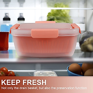 shopwithgreen 68oz Berry Keeper Container, Fruit Produce Saver Food Storage Containers with Removable Drain Colanders, Vegetable Fresh Keeper Set | Refrigerator Organizer