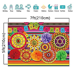 MAQTT Mexican Fiesta Backdrop for Party Decoration Coloful Horizontal Stripes Flags and Fiesta Paper Fans Photography Background for Weding or Baby Shower Supplies 7x5ft