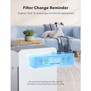 Air Purifier Replacement Filter Compatible with AP007, 3-in-1 True HEPA Filter, Pre-Filter, High-Efficiency Activated Carbon Filter, 1 Pack