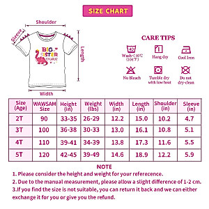 WAWSAM Dinosaur Big Sister Announcement T Shirt Promoted Outfits for Toddler Girls 100% Cotton Promoted to Big Sister Shirt (White, 2T)