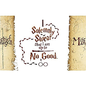 Tervis Made in USA Double Walled Harry Potter I Solemnly Swear Insulated Tumbler Cup Keeps Drinks Cold & Hot, 16oz, Classic