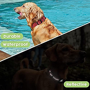 CYFIBYNO 3 Pack AirTag Dog Collar, Reflective Apple Air Tag Dog Collar, Dog Collar with AirTag Holder Adjustable Nylon Air Tag Accessories Pet Collar for Small Medium Large Dogs (Small (12.5"-14"))