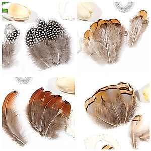 SendyFeather 200pcs 10 Style Natural Feathers Assorted Mixed Feathers for Dream Catcher Crafts DIY Decoration