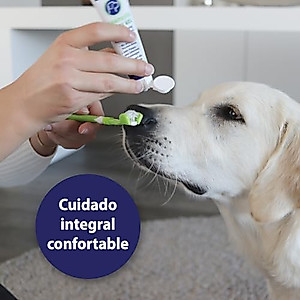 Canosept Dog Dental Care Kit (3 Pieces) - Dog Toothbrush and Toothpaste - Dog Toothbrush Finger - Dog Teeth Cleaning Products - Plaque Remover for Dogs Teeth - Dog Breath freshener