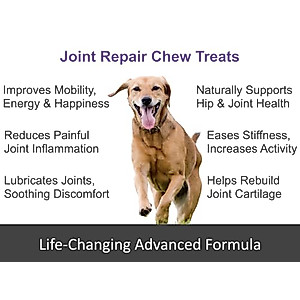 Joint Repair Advanced Hip & Joint Health Supplement for Dogs. Naturally Relieves Arthritis, Pain & Inflammation. Extra Strength Soft Chew Treats with Glucosamine, Chondroitin & MSM Improve Mobility