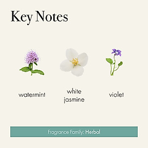 LAFCO Watermint Agave Classic Candle, Desert House