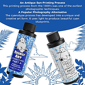 Bearly Art Cyanotype Kit - Sun - Solar Print Set for Photographic Printing on Paper and Fabric - 2 Part Sensitizer - Archival - Creates 32 8"x10" Prints on Paper and 25 on Fabric