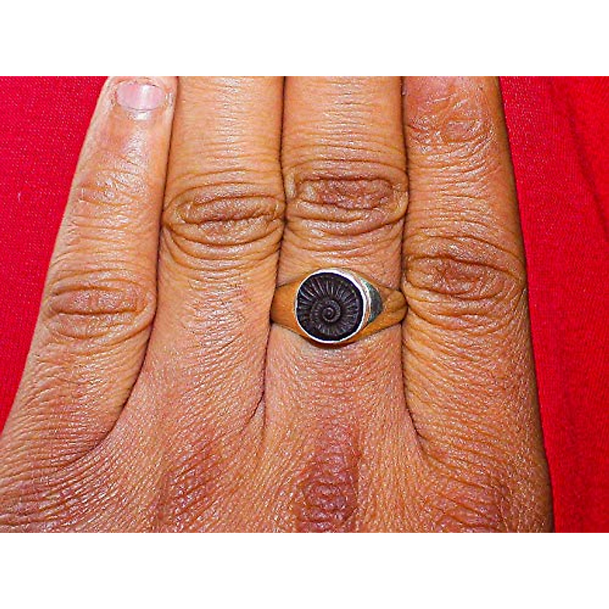GangTarang Shaligram Silver Ring | Nepal Gandaki River Chakra Saligram (Shaligram Ring; Size-16)