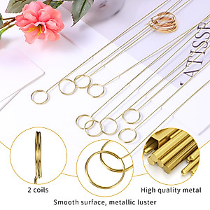 Bremorou 20 Pcs Flower Card Holder Stick Floral Card Holder Picks Round Photo Memo Holder Pick 12 Inch Gold Floral Card Holder Clip Wire Place Card Holder For Wedding Birthday Cake Party Favor