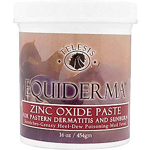 EQUIDERMA (2 Pack) Horse Skin Lotion and Zinc Oxide Paste 16oz with 10ct pet Wipes