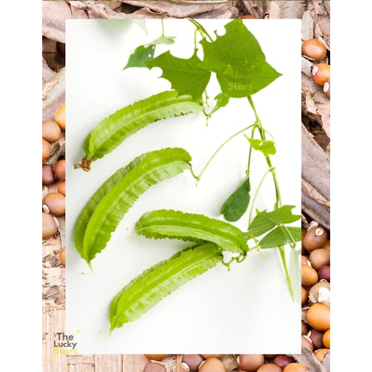 100 Seeds Winged Bean - Dau Rong - Dragon Bean - Four Angled Bean ...