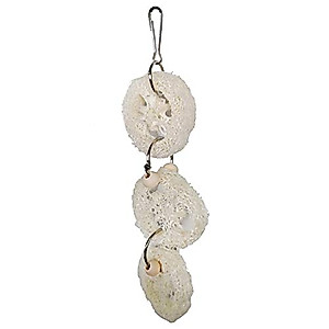 N / A 7/8 pcs Bird Toys, Parrot Natural Wood Hanging Swing Standing Climbing Chewing Perch Hammock Rope Ladder Bell Bird Cage Toys for Parrots, Love Birds, Parakeet, Mynah, Conure, Cockatiel