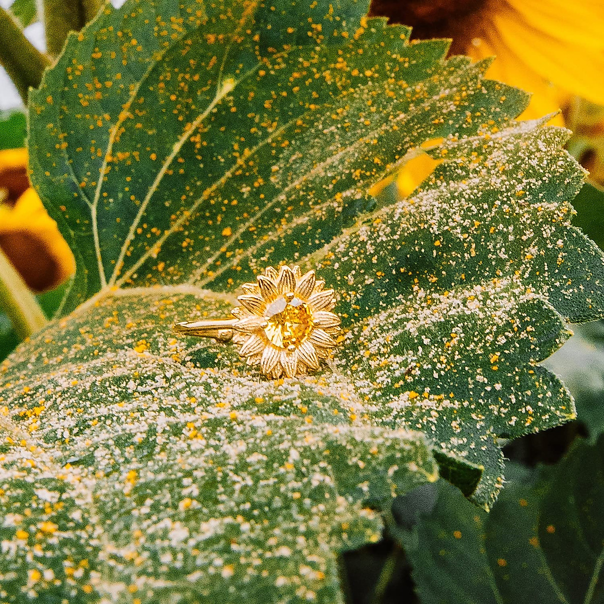 STORYJEWELLERY Story Jewellery Sunflower Ring for Women, Gold Plated Sunflower Ring for Girl, You Are My Sunshine Ring for Women, Birthday Christmas Valentines Gifts Rings for Girls(all, silver 10)