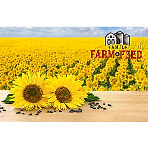 FAMILY FARM AND FEED | Four Season | Black Oil Sunflower Seed | 4 Pounds | Wild Bird Food | Backyard Songbird