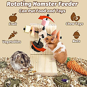 BNOSDM Wooden Foraging Toy for Small Animals Hamster Enrichment Foraging Toys Interactive Spin Guinea Pig Puzzle Toy for Dwarf Hamster Guinea Pig Chinchilla Rat Rabbit Chinchilla Bunny