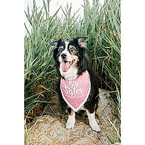Everything Tailed Big Sister Dog Bandana for Pregnancy Announcement, Handkerchief and/or Scarf Accessory for Dog, Warm Pink Color, Fits Medium to Large Dogs, Gender Reveal Prop for Expecting Mothers