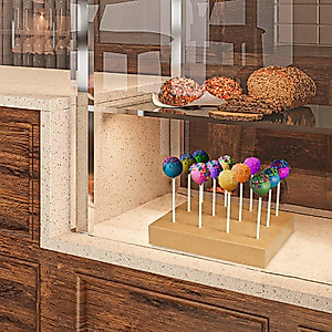 Vowcarol Cake Pop Holder Boxes Cake Pop Display Stand with Cover Candy Apple Boxes with Hole Cake Pop- 4 Packs 4 PCS