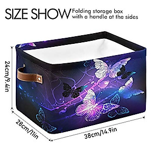 Mazeann Glowing Purple Butterflies Storage Basket Bin Collapsible Foldable for Clothes Toys Storage Cabinets Waterproof Storage Box 15 x 11 x 9.5 inches, 1PC