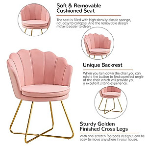 Furniliving Pink Vanity Chair, Velvet Makeup Chair for Bedroom, Home Office Desk Chair with Gold Plating Legs, Cute Accent Chair for Makeup Room, Bedroom, Living Room, Guest Reception (Velvet Pink)