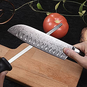 longyier Professional Kitchen Knife High Carbon Stainless Steel Chef Knife Set, 2PCS Ultra Sharp Japanese Knifes with Sheath and Sharpening Steel for Home or Restaurant