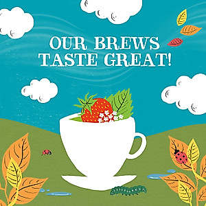 Clipper Tea Strawberry & Elderflower Herbal Tea – Caffeine Free, USDA Organic, Great Hot or Iced – Refreshingly Fruity, Natural, Fair & Delicious – 20 Tea Bags