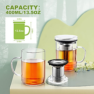 suyika Tomotime Glass Tea Cup with Lid and Stainless Steel Infuser Basket Perfect Clear Tea Mug for Office and Home Uses for Loose Leaf Tea Steeping 13.5 Ounce,400ml, Black