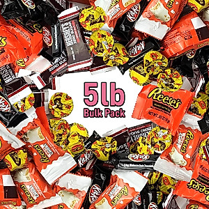 Chocolate Mix, Fun Size Individually Wrapped Holiday Candy Bulk Filled with Popular Chocolate Candy Assortment, Kit Kat Holidayocc, Hershey’s and Peanut Butter Candy Variety Pack in a Box (5 LB)