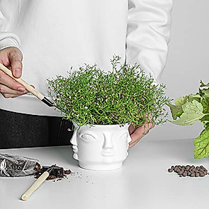 T4U Face Succulent Pots with Drainage 2-Pack - Small Ceramic Head Succulent Planter for Tiny Cactus, Herb, Bonsai Plant, Mini Flower Pot for Indoor Home Office Living Room Decor (No Plants)