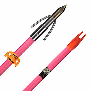 Fiberglass Arrow-Pink w/Chaos FX Point & AMS EverGlide Safety Slide