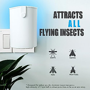 Flying Insect Trap, Fruit Fly Traps for Indoors, Home Plug in Bug Catcher Indoor Sticky, Electric Fly Light Trap Kit for Flies, Fruit Flies, Moths, Gnats, and Other Flying Insects
