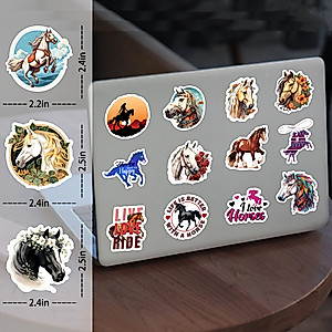 102 PCS Horse Stickers for Water Bottles, Horse Riding Stickers for Laptop Stuff, Horse Party Favors, Horse Gifts for Girls Kids