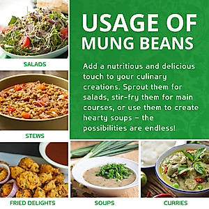 Jiva Organic Mung Bean - Mung Moong Beens Whole for Sprouting and Cooking - 2 lb Bean Bag – Indian Spices
