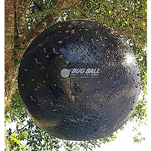 Bug Ball Deluxe kit- Odorless Eco-Friendly Biting Fly and Insect Killer with NO Pesticides or Electricity Needed, Kid and Pet Safe